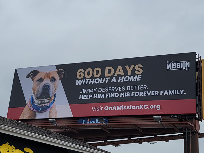 The Impact of Billboards: Jimmy’s Journey from Homelessness to a ...